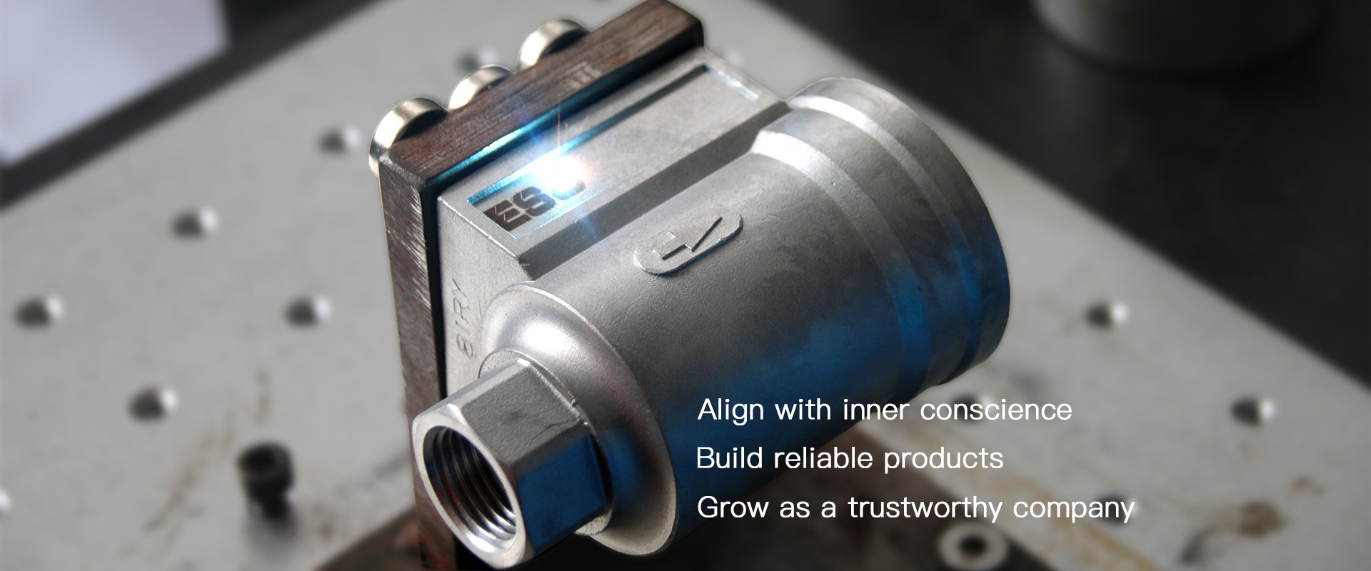 ESG Flow Control Valves丨Angle Seat Valves, Steam Traps, Diaphragm Valves